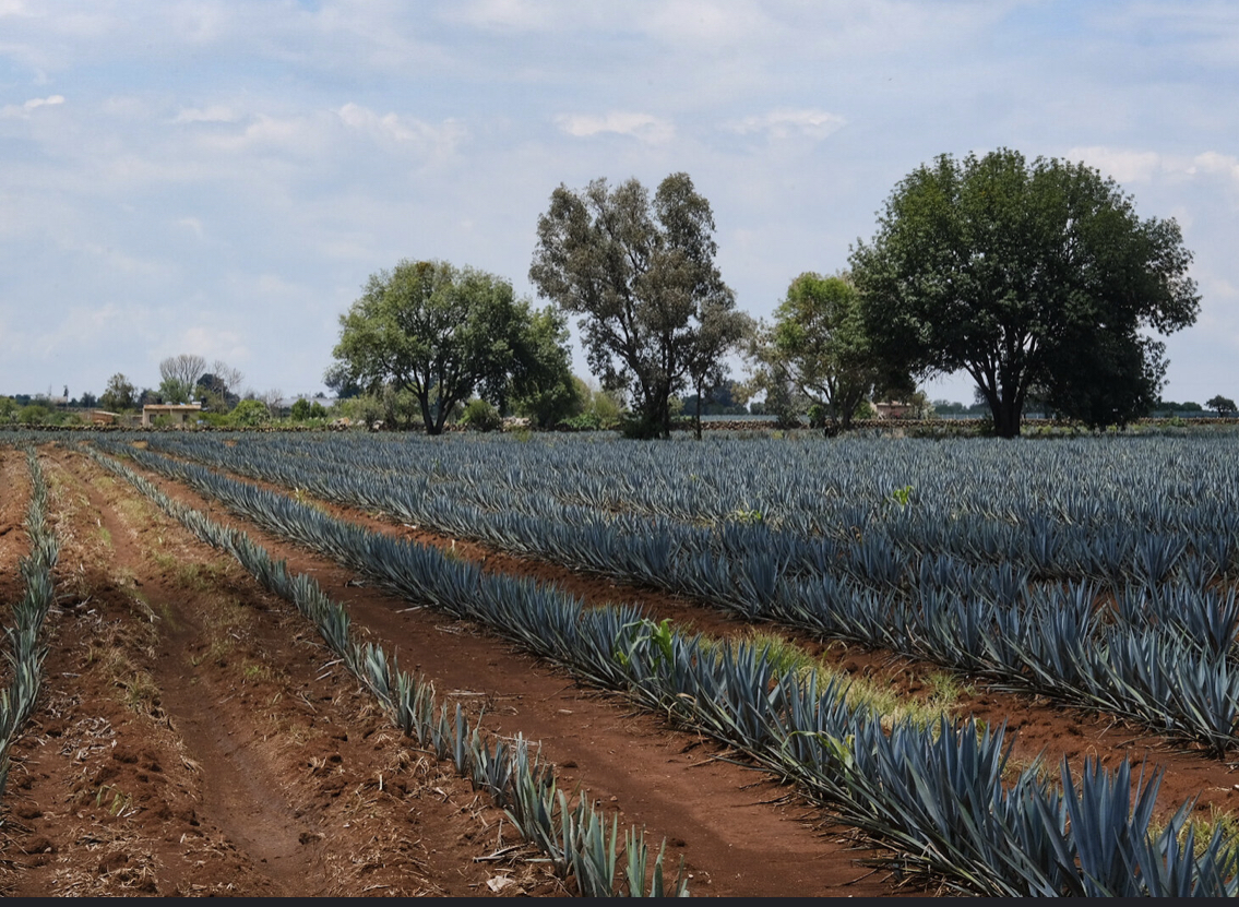Gobierno de Jalisco